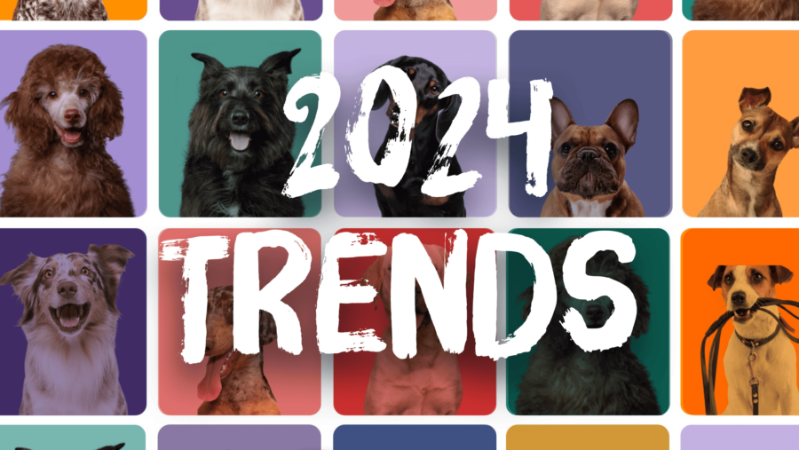 Canine Cottages Unveils 2024 Dog-Friendly Holiday Trends - The Dogs ...